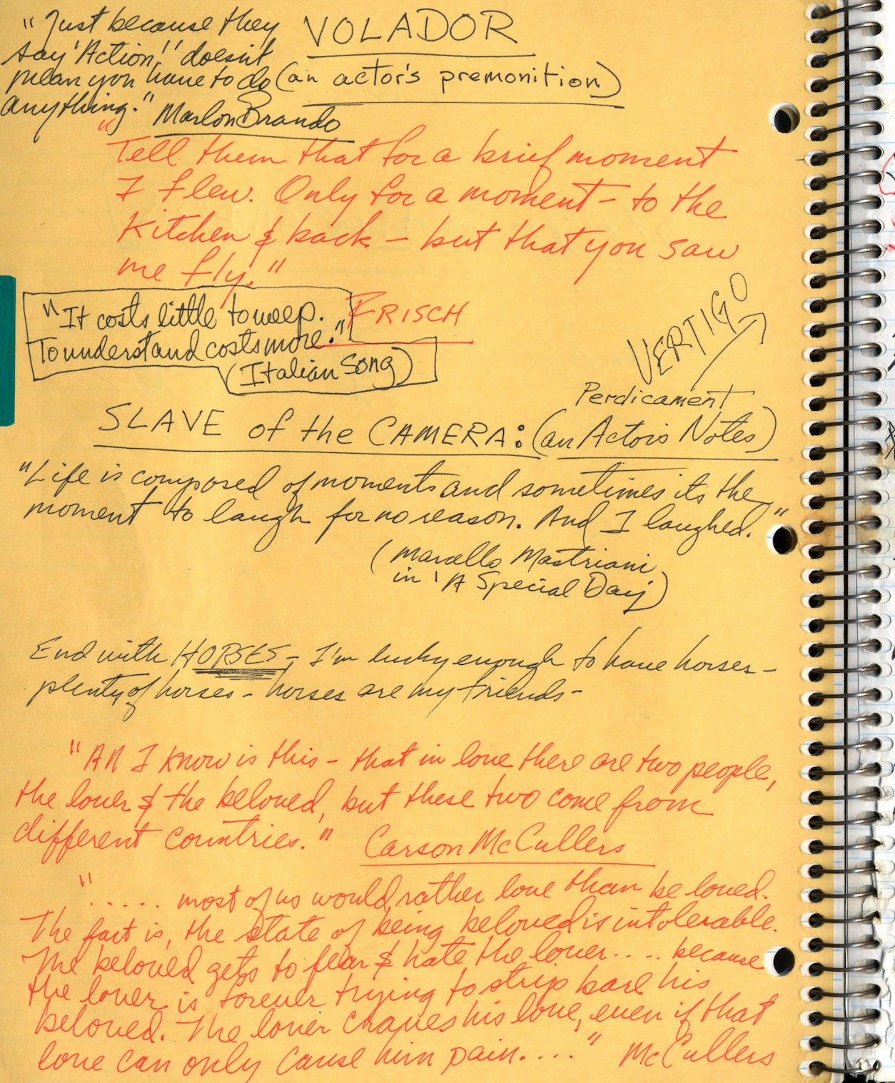 Works | The Official Website of the Estate of Sam Shepard